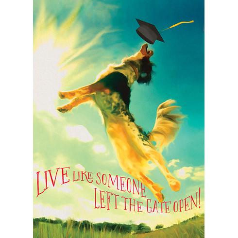 Take A Leap Graduation Greeting Card – Just Fabulous Palm Springs